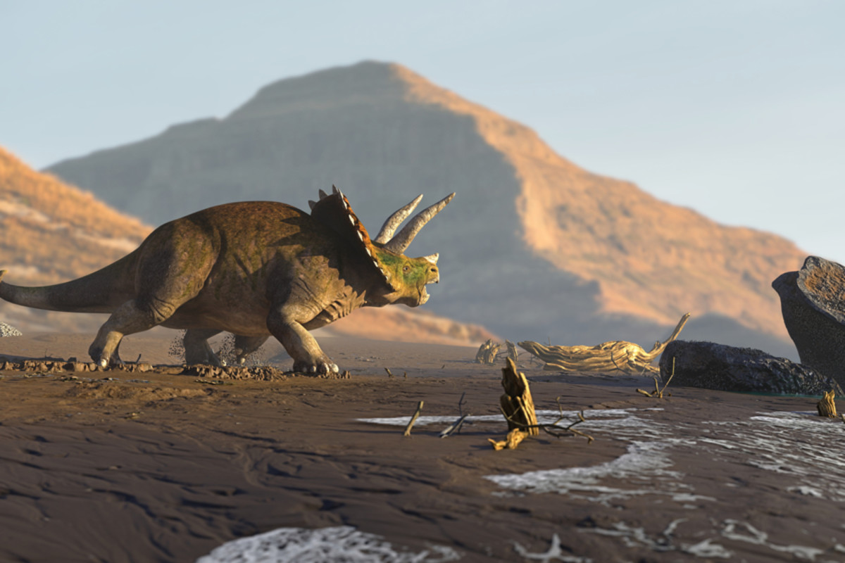 Can Scientists Now Distinguish Between Warm and Cold-Blooded Dinosaurs ...