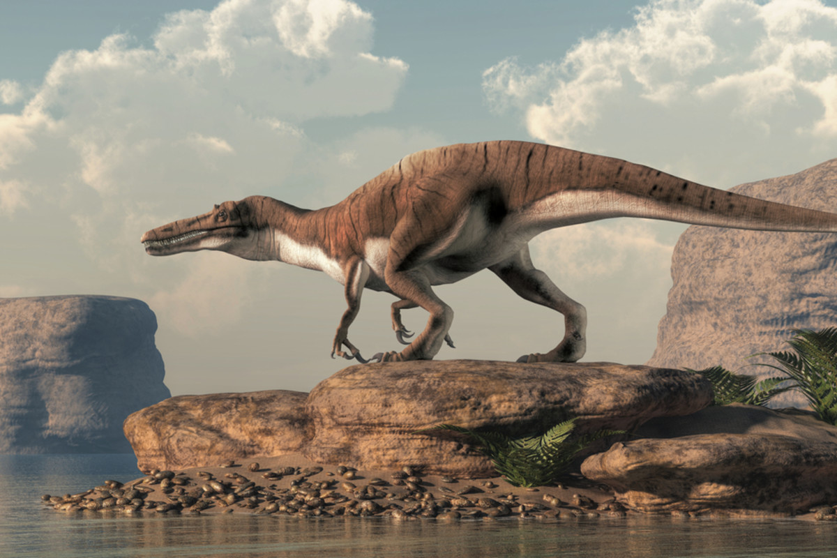 Europe’s Largest Land Predator Discovered On The Isle Of Wight ...