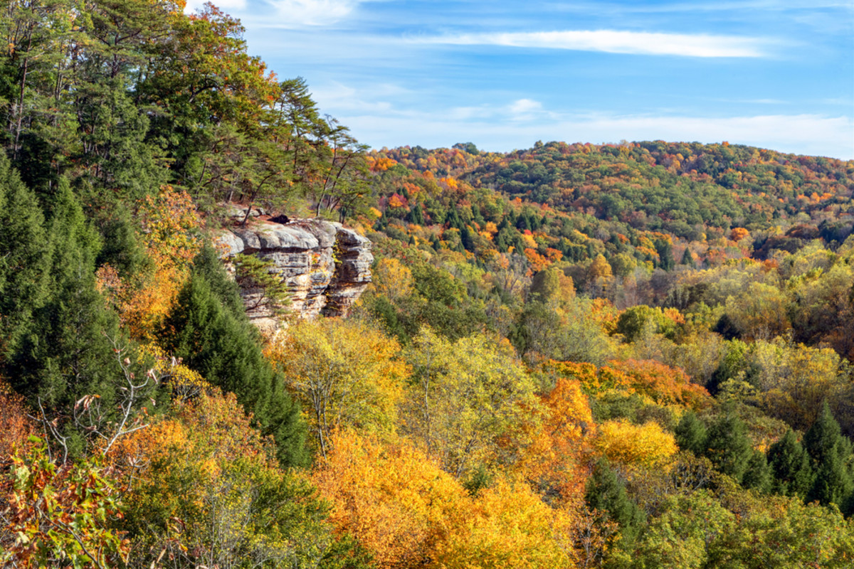 Midwestern U.S. Forests Doubled in Carbon Storage During the Holocene ...