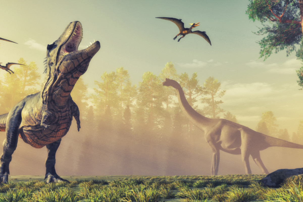 Do We Still Have Any Species Today That Are Descendants of Dinosaurs ...