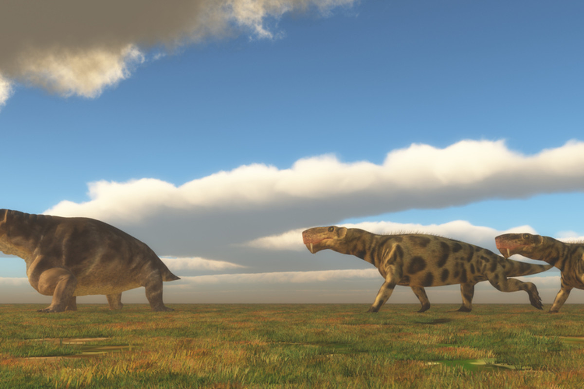 The Late Permian Mass Extinction Explained | Discover Magazine