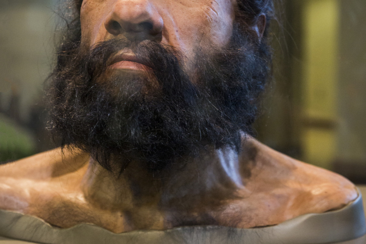 Forensic Anthropology Expands the View on Human-Neanderthal ...