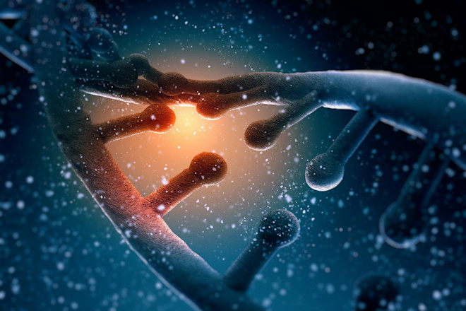 DNA Test Can Trace Your Ancestral Origins Back 1,000 Years | Discover ...