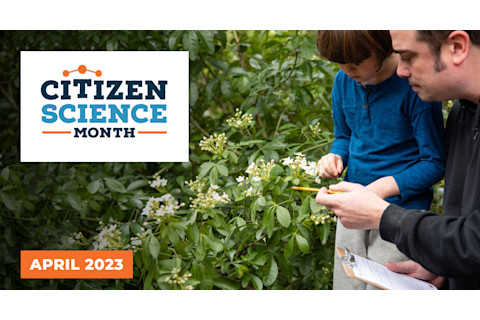 How to Play in the Snow…For Science! | Discover Magazine