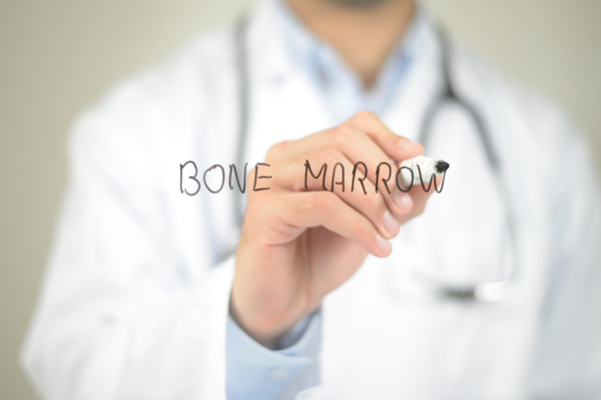 How Do Bone Marrow Donations Work? | Discover Magazine