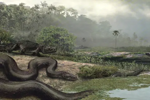 These 3 Prehistoric Snakes Are the Stuff of Nightmares | Discover Magazine
