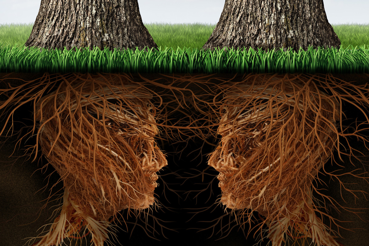 Is Plant Communication a Real Thing? | Discover Magazine