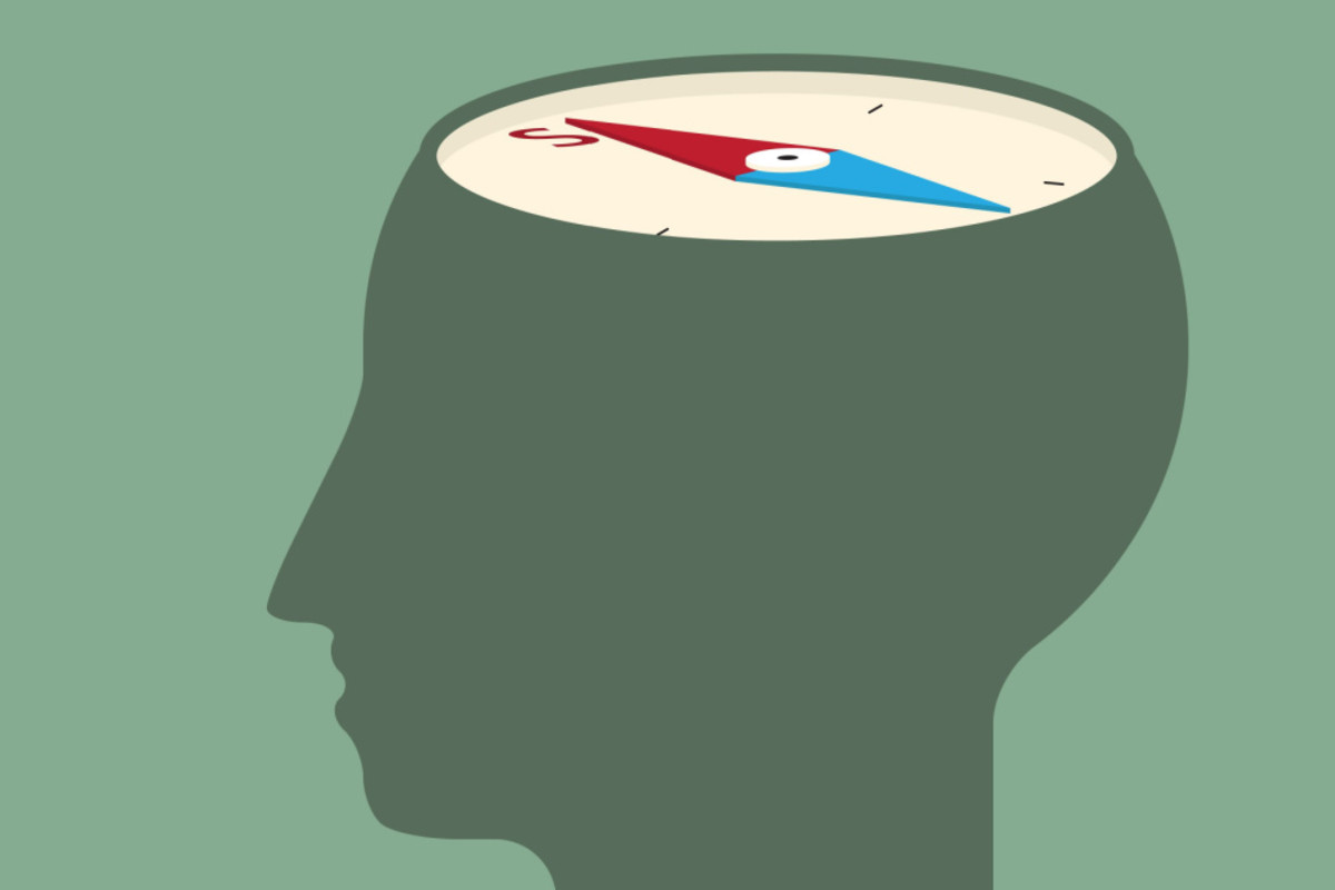 How Your Internal Compass Works | Discover Magazine