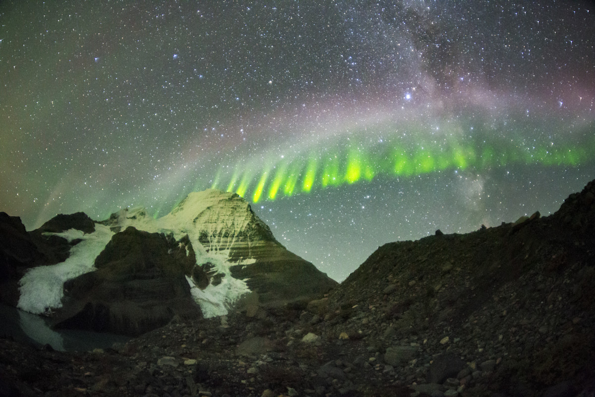 Citizen Science Observations Are Showing Up In Dozens of Published ...