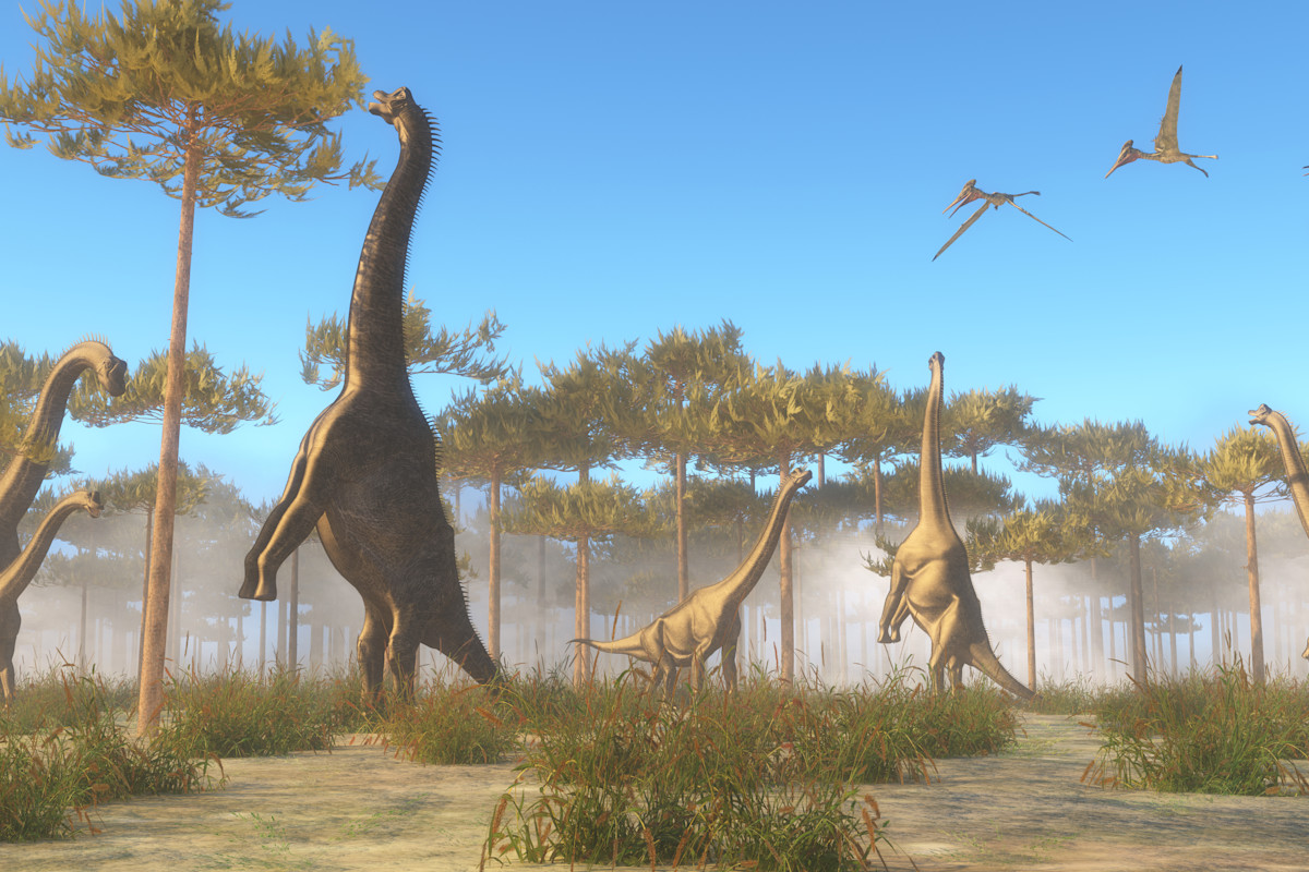 Why Are Herbivore Dinosaurs Important, and What Can They Teach Us About ...