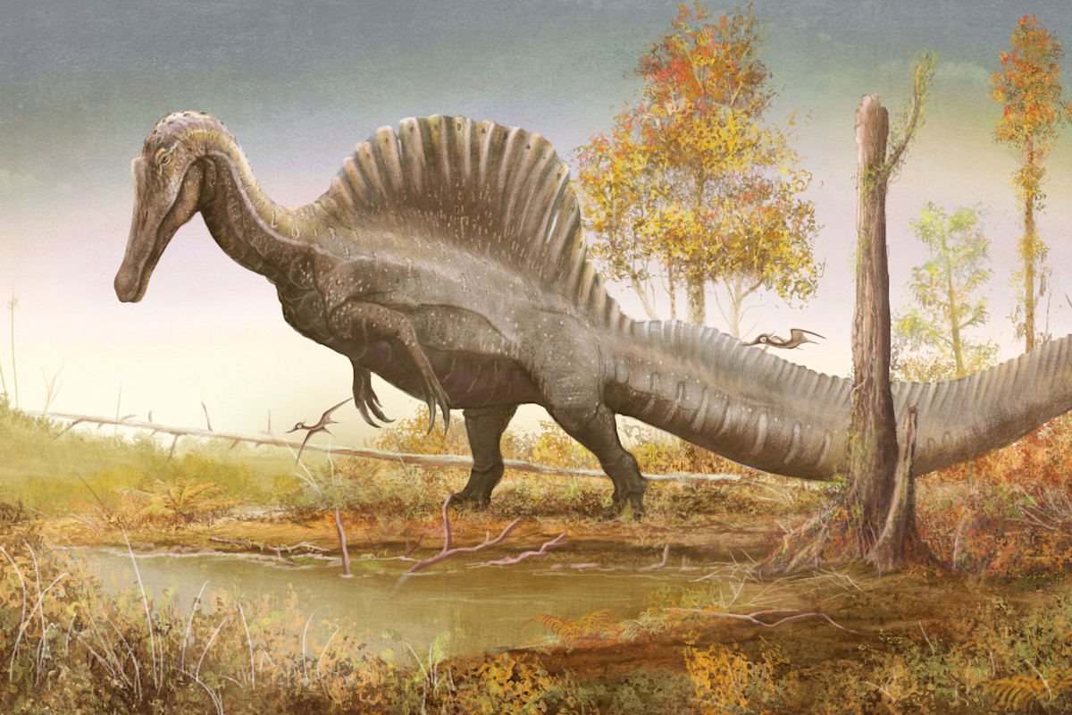 spinosaurus feathers