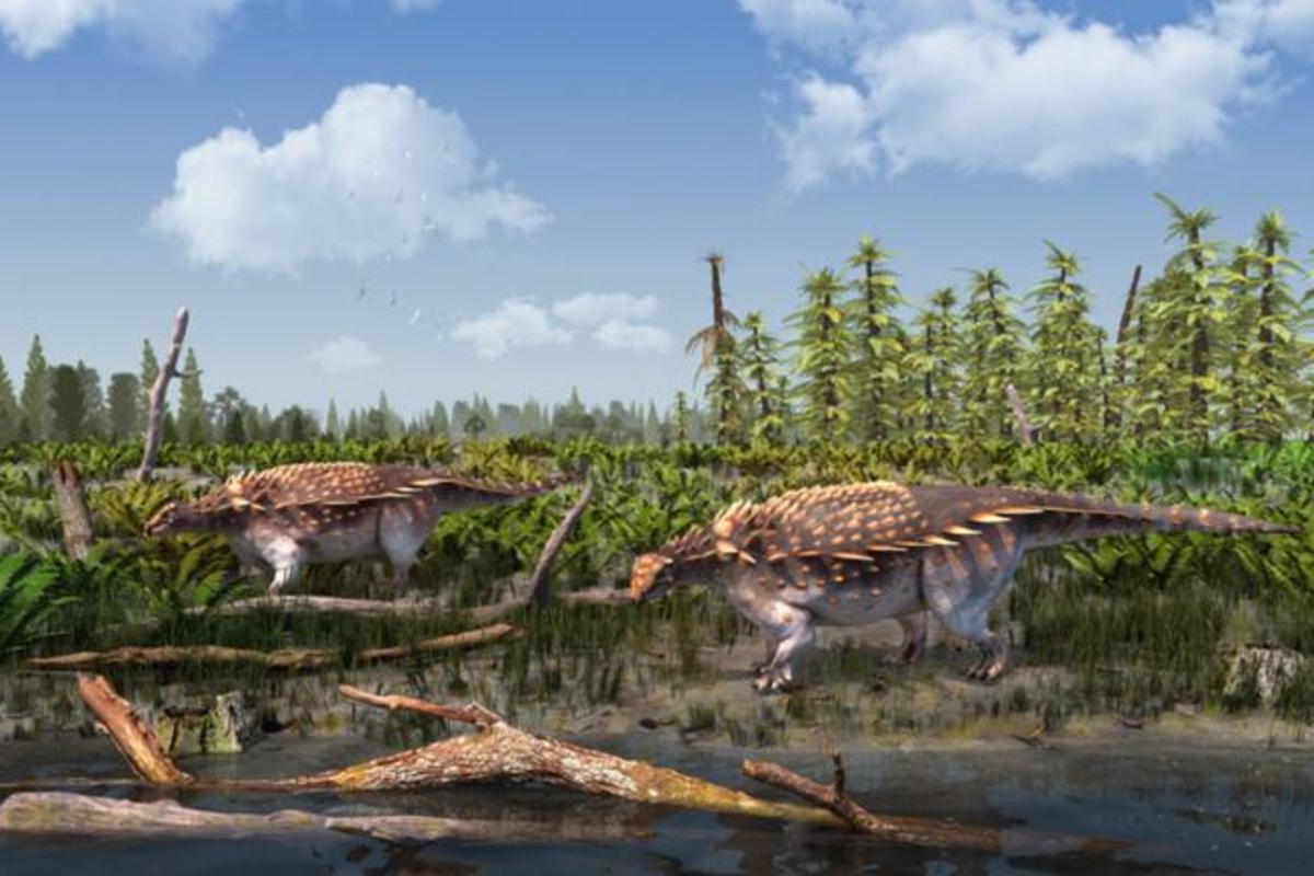 New Armored Dinosaur Species Roamed Earth Up to 145 Million Years Ago ...