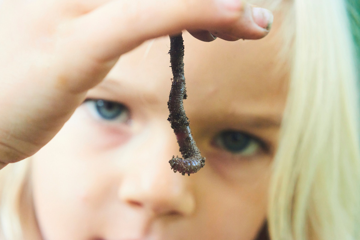 Is Dirt Just Worm Poop? Digging Up the Secrets of Soil | Discover Magazine