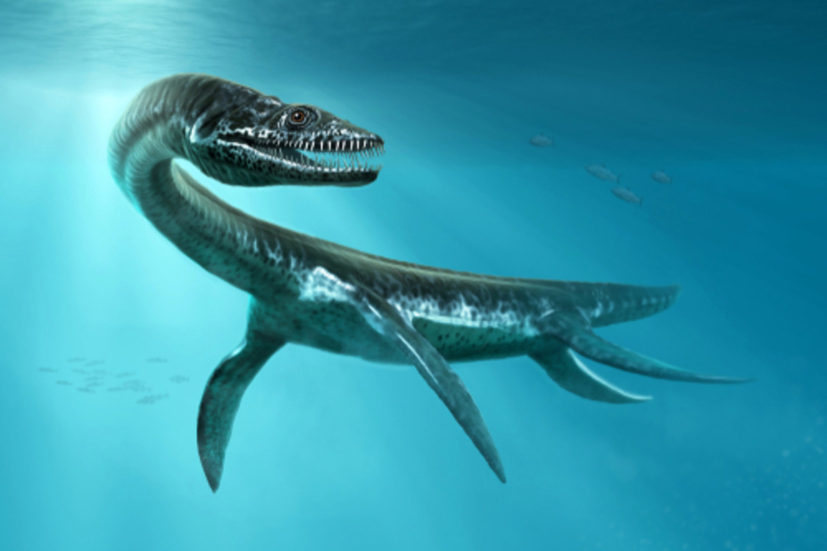 5 of the Most Interesting Prehistoric Marine Reptiles | Discover Magazine