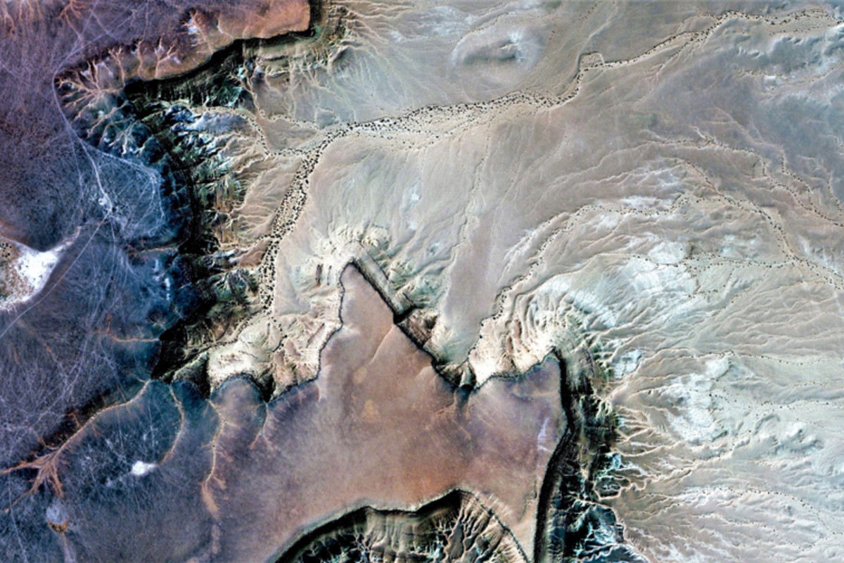 What Was Life Like on Pangea 250 Million Years Ago? | Discover Magazine