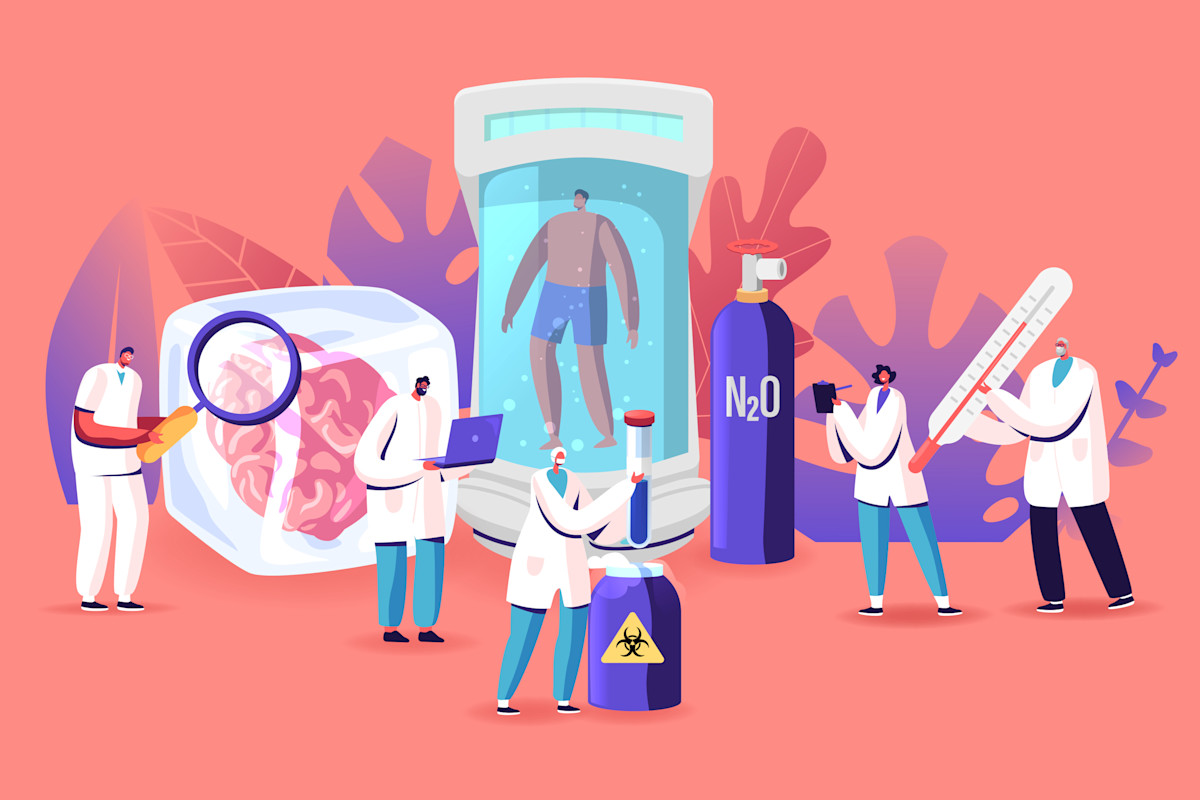 Could Humans Ever Hibernate in the Future? | Discover Magazine