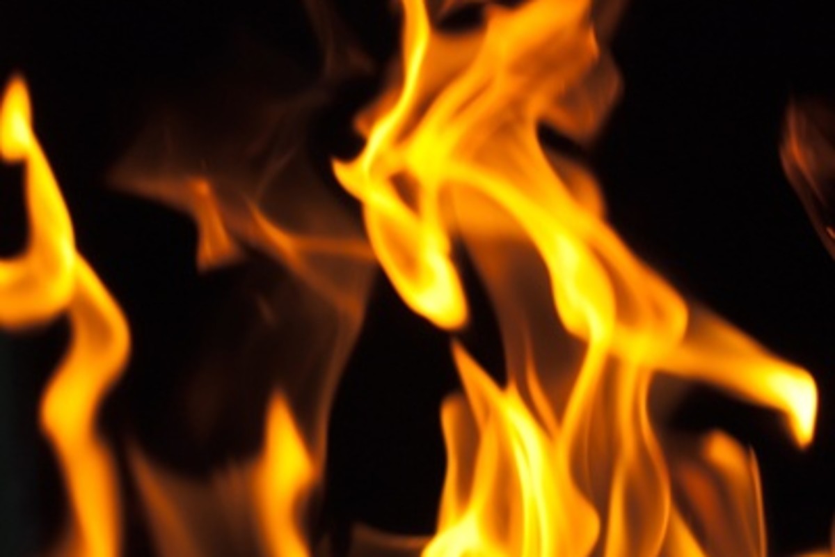 49. Humans Had Mastered Fire by 1,000,000 B.C. | Discover Magazine