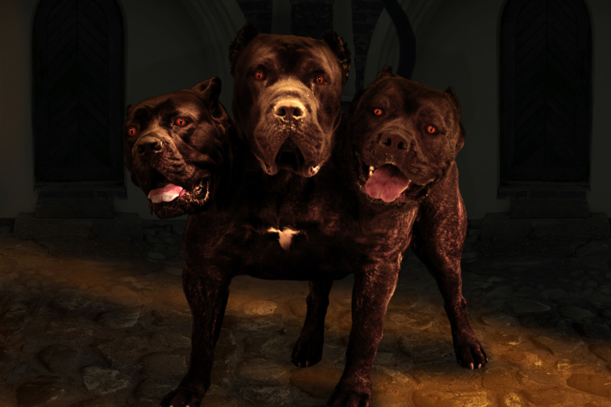 Greek Mythology Cerberus