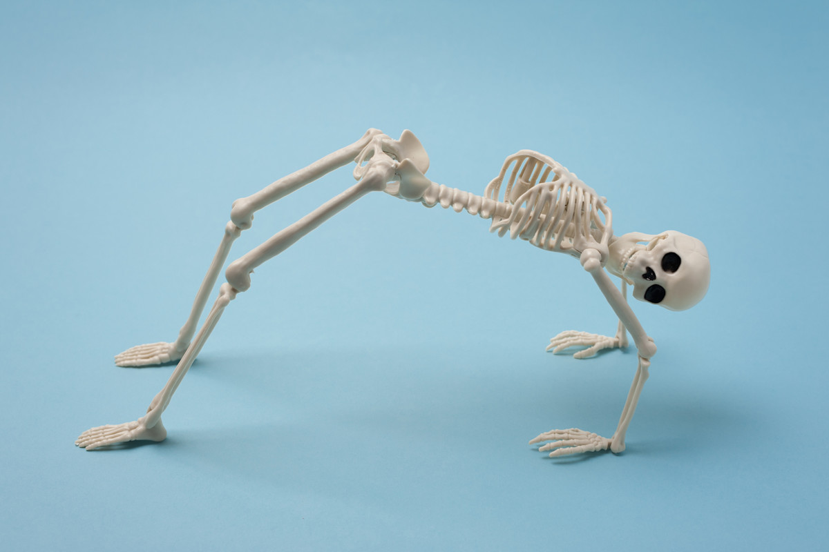 How Many Bones Are in the Human Body, And Other Fascinating Facts About ...