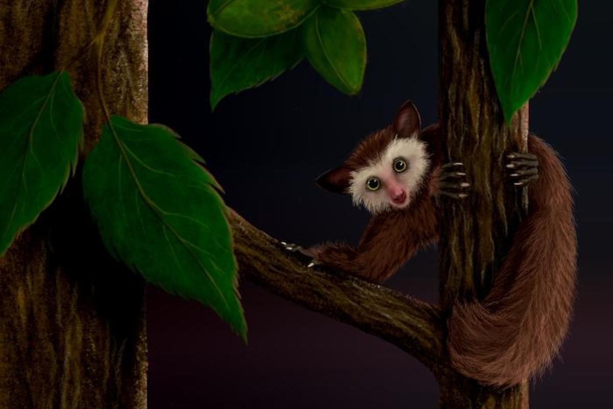 Long Before the Arrival of Humans, a Strange Little Primate Populated ...