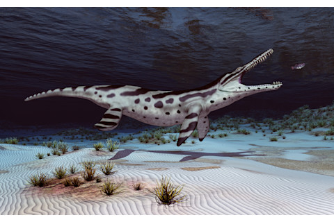 6 Ancient Mega-Predators that Once Ruled the World | Discover Magazine