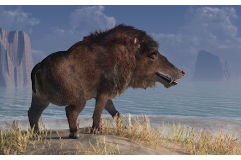 6 Ancient Mega-Predators that Once Ruled the World | Discover Magazine