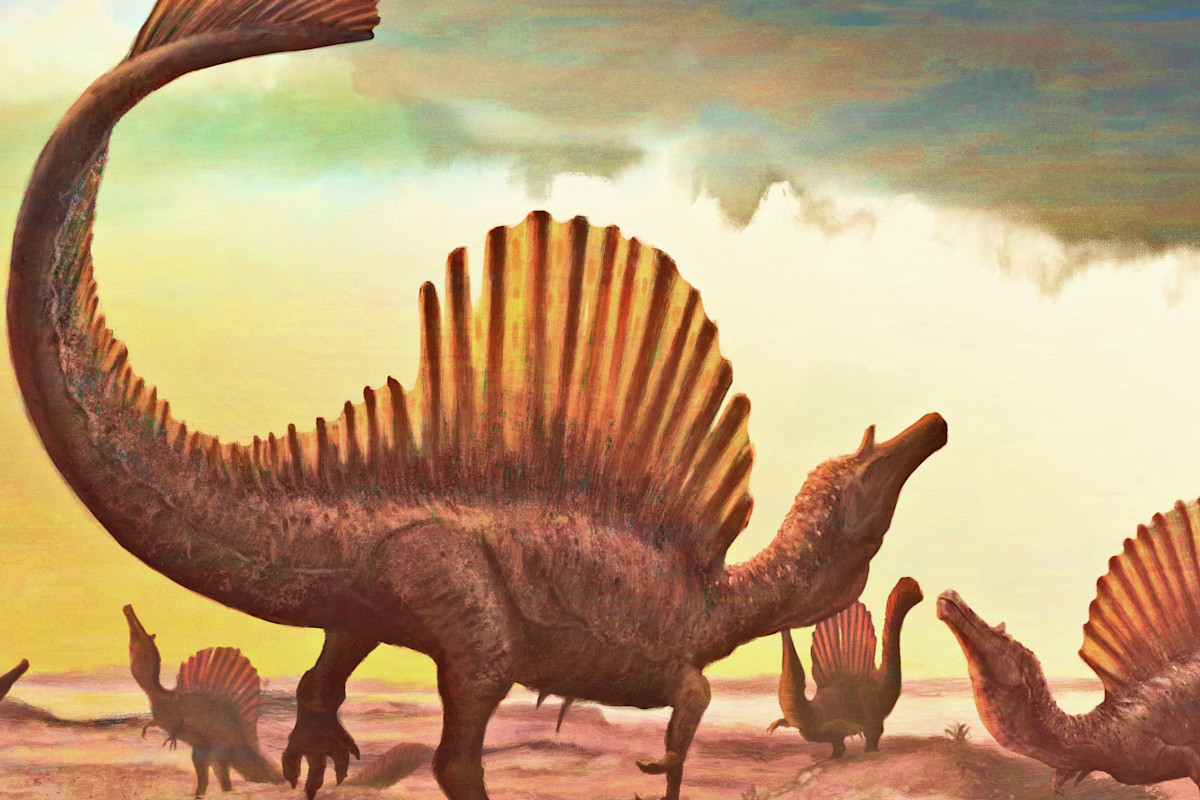Dinosaur Dimensions Weren’t One-Size-Fits-All | Discover Magazine