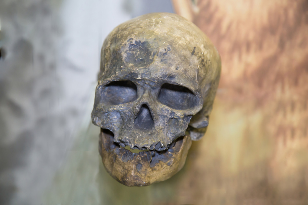Cro-Magnon vs. Neanderthal: What Is the Difference? | Discover Magazine