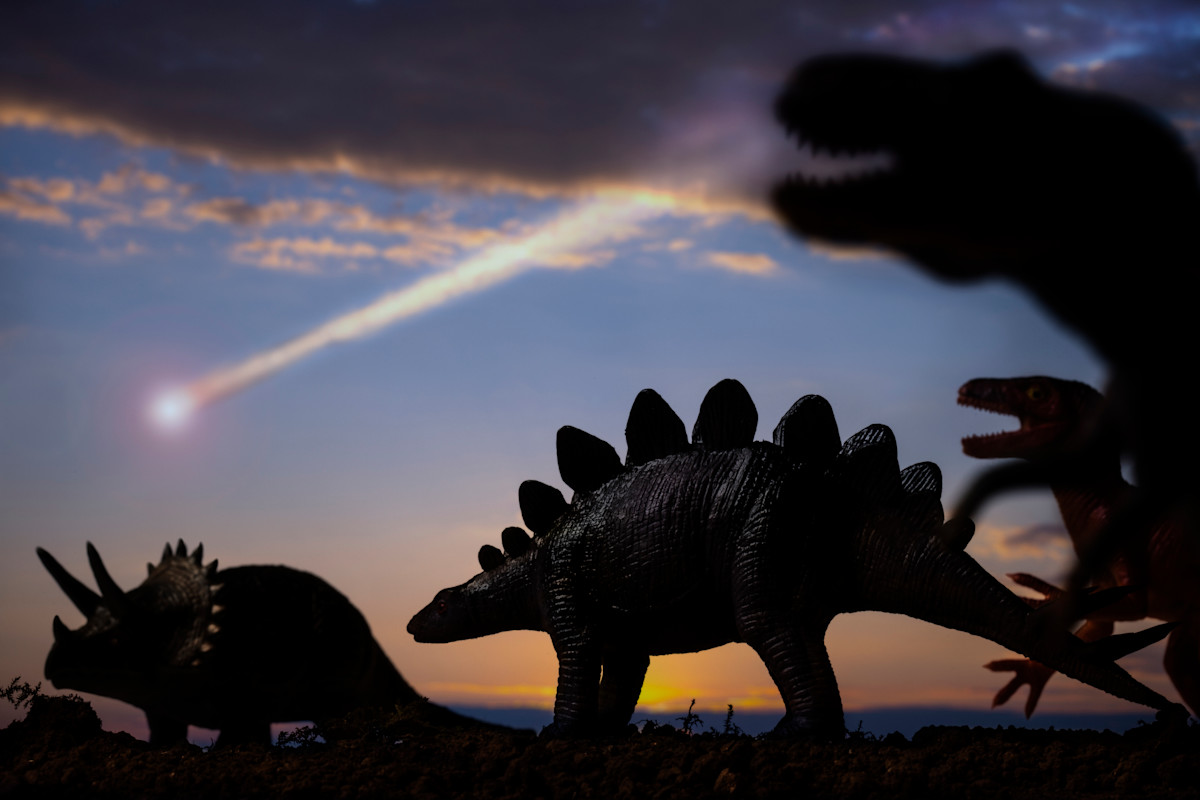 How Did Some Animals Survive the Asteroid that Killed the Dinosaurs? | Discover Magazine