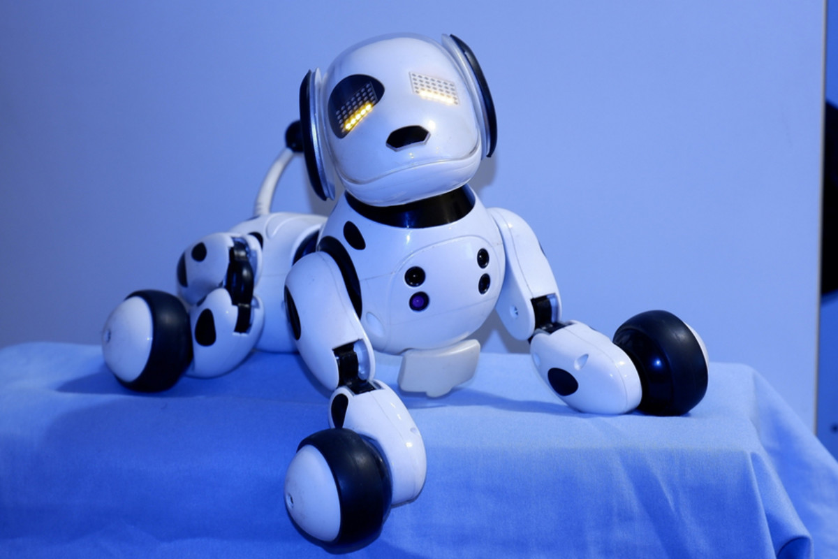 Virtual Animals May Also Prowl the Uncanny Valley | Discover Magazine