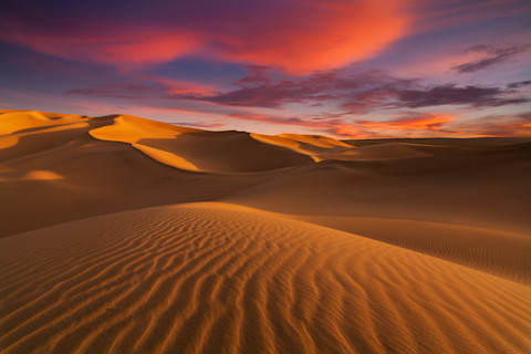 The Sahara Desert: Everything to Know About the Largest Desert in the World | Discover Magazine