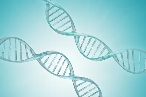 Could You Be a Human Chimera? When One Person Has Two Sets of DNA ...