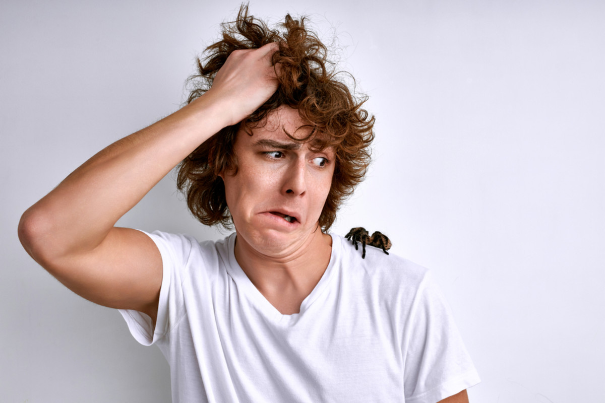 Everything You Need to Know About the Creepy Tarantula | Discover Magazine