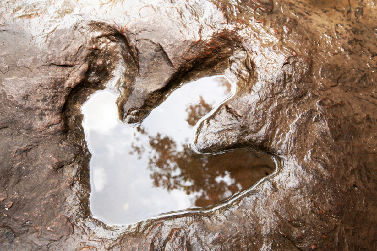 Ancient Rock Art and Dinosaur Footprints Found Side By Side In Brazil ...