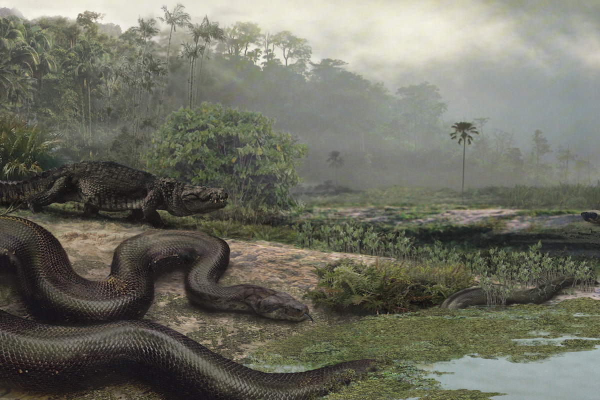 Slither Aside, Titanoboa, This Ancient Snake Was Also a 50-Footer ...