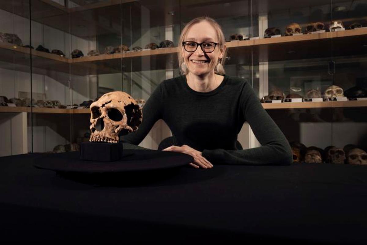 Reconstructing a Neanderthal Skull That Was Flattened Like a Pancake ...