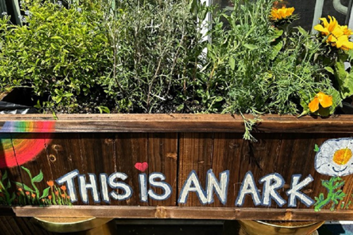 Become a guardian of nature! Learn to rewild with native plants ...