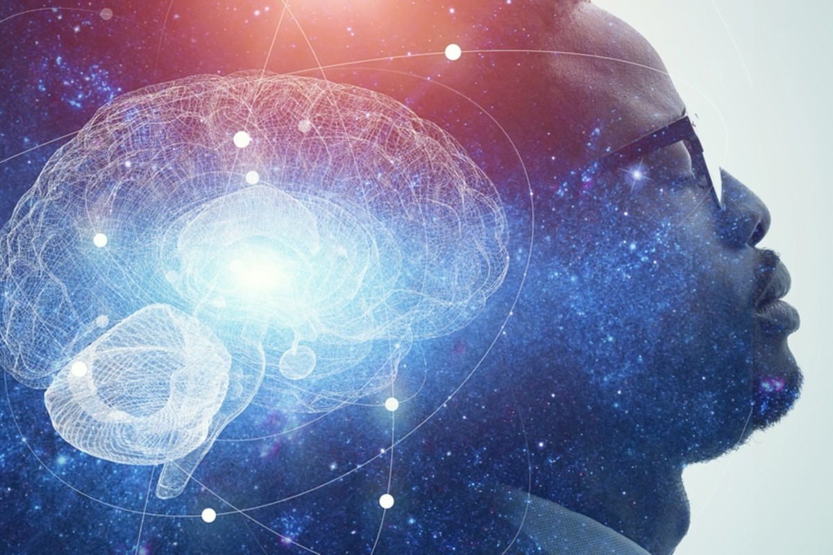 How The Brain Decides Which Memories To Keep And Which To Discard ...