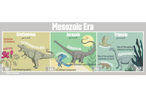 Was the First Mammal to Live on Earth the Morganucodon or Brasilodon? Experts Still Debate ...