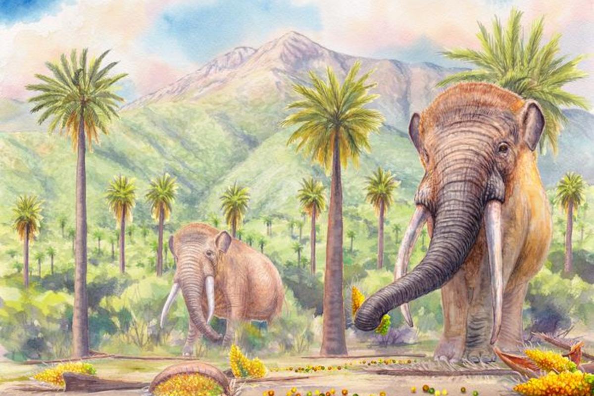 Extinct Mastodons Still Have an Impact on Modern-Day Ecosystems in South America | Discover Magazine