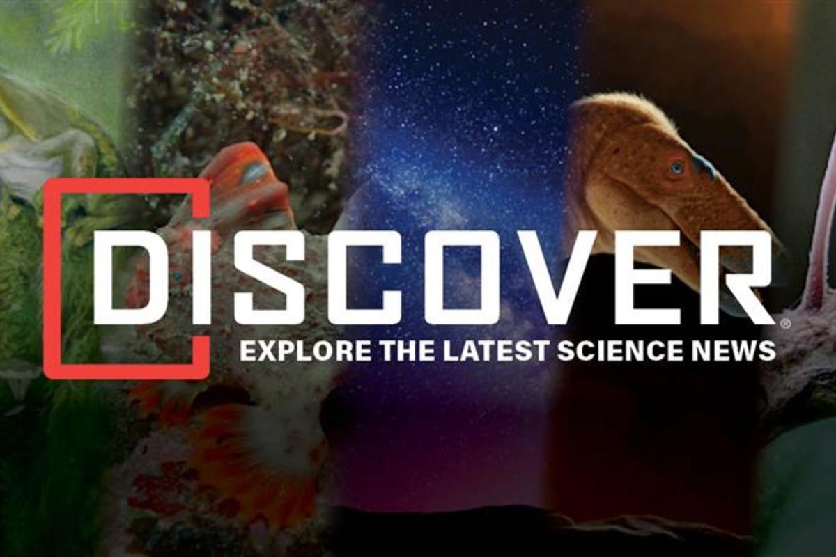 Get Your Weekly Dose of Fun, Quirky, and Fascinating Science — Our ...