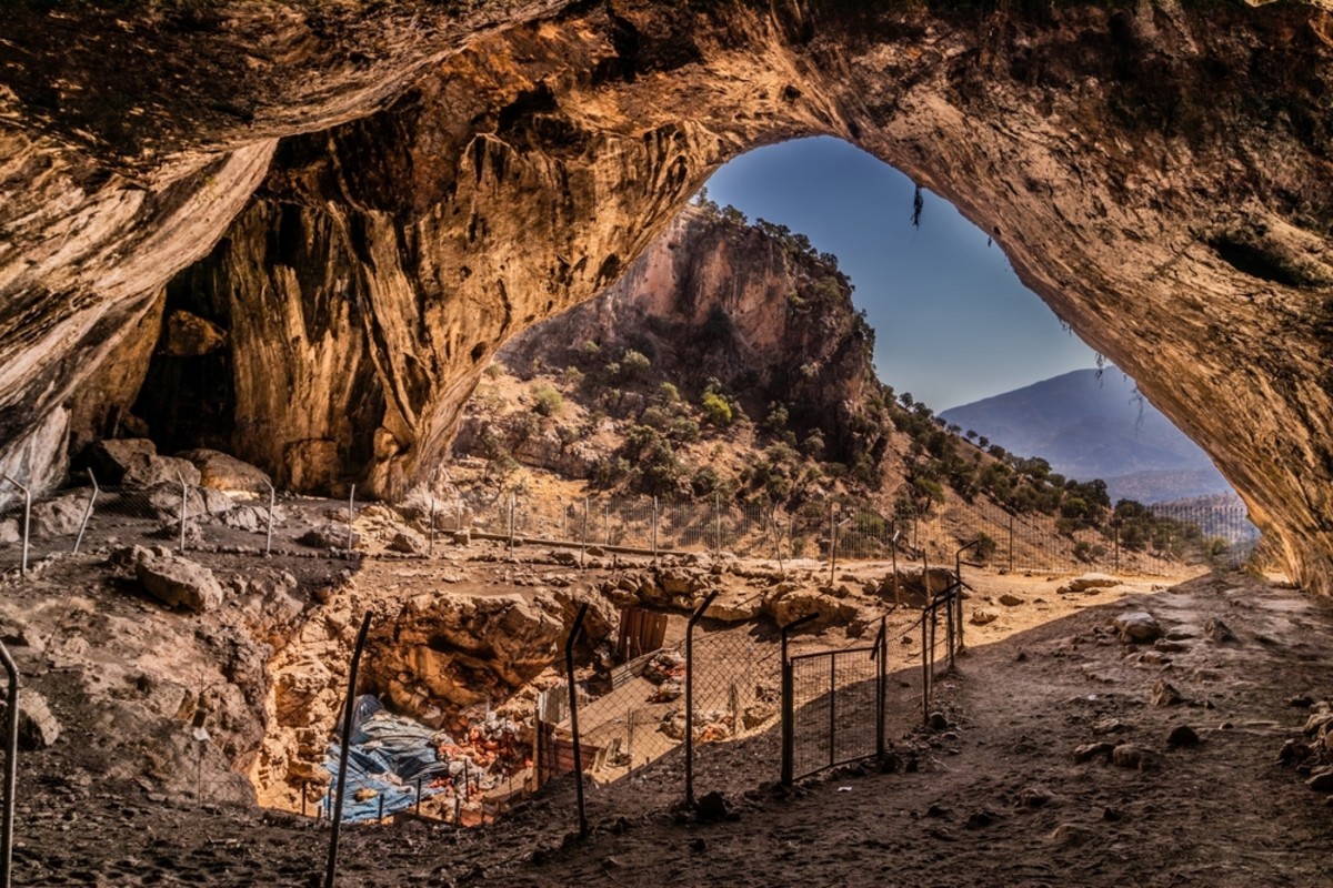Did Neanderthals Bury Their Dead with Flowers? Shanidar Cave Findings ...