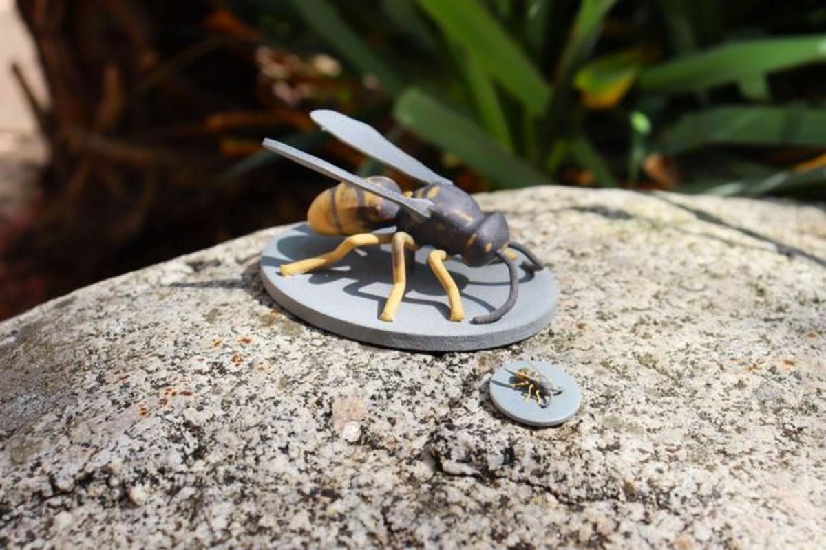 3D-Printed Insects Help Scientists Unlock the Secrets of Animal Mimicry ...