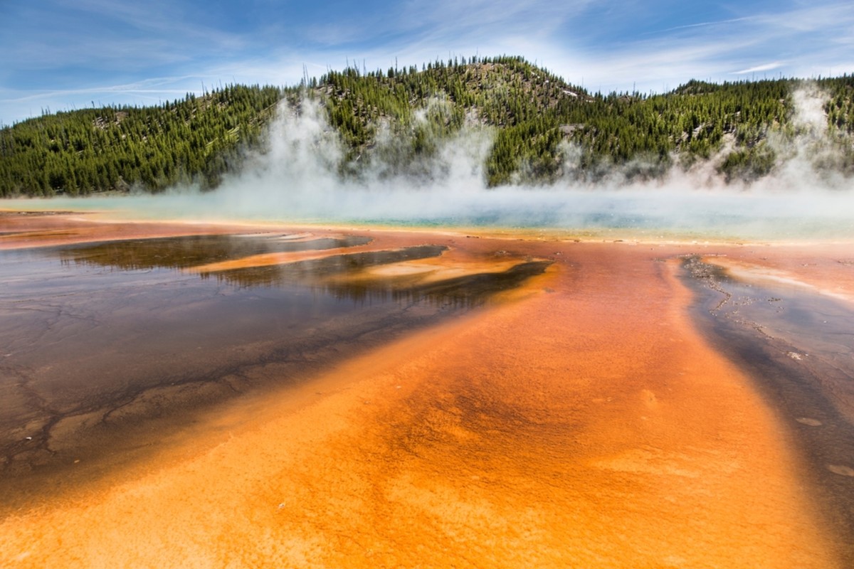 Yellowstone Hot Springs Create Perfect Environment for Ancient Microbes ...