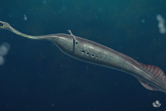 The Bizarre 300-Million-Year-Old Tully Monster — Why the Fossil Still ...