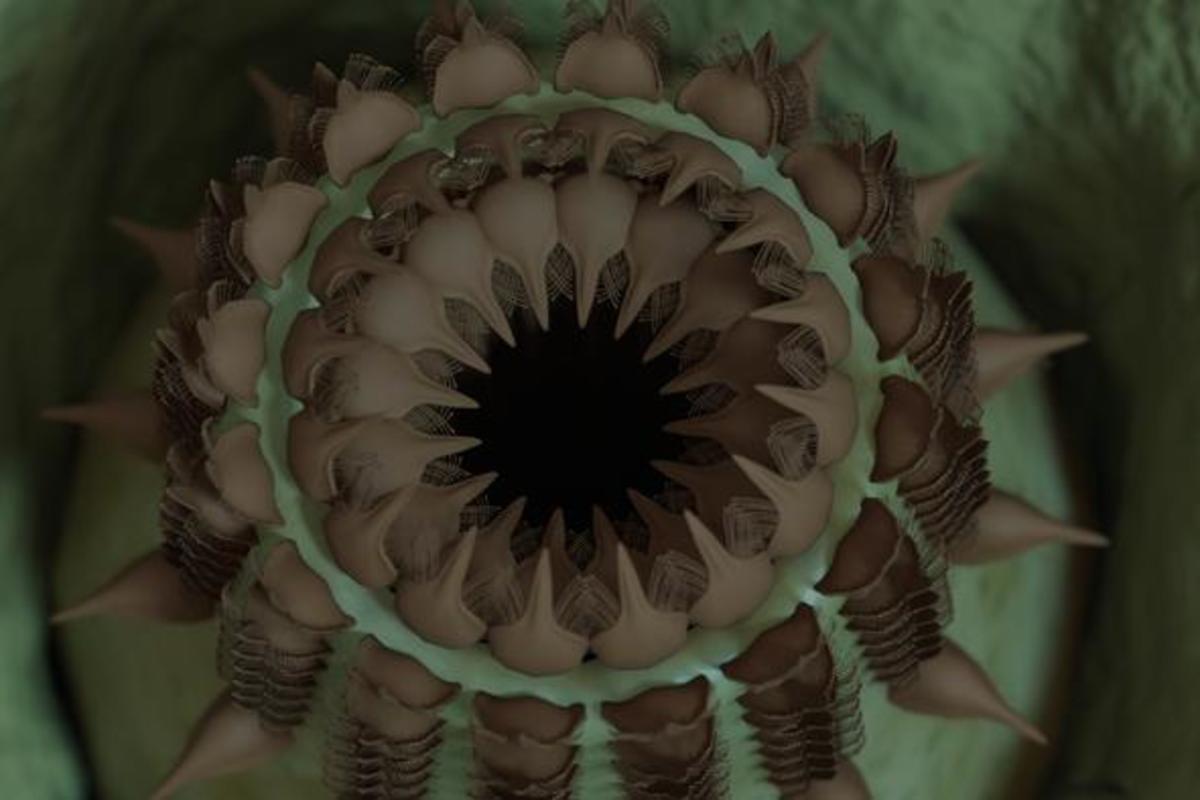 Spike-Toothed Worm and Other Creatures Lived in Grand Canyon 500 ...