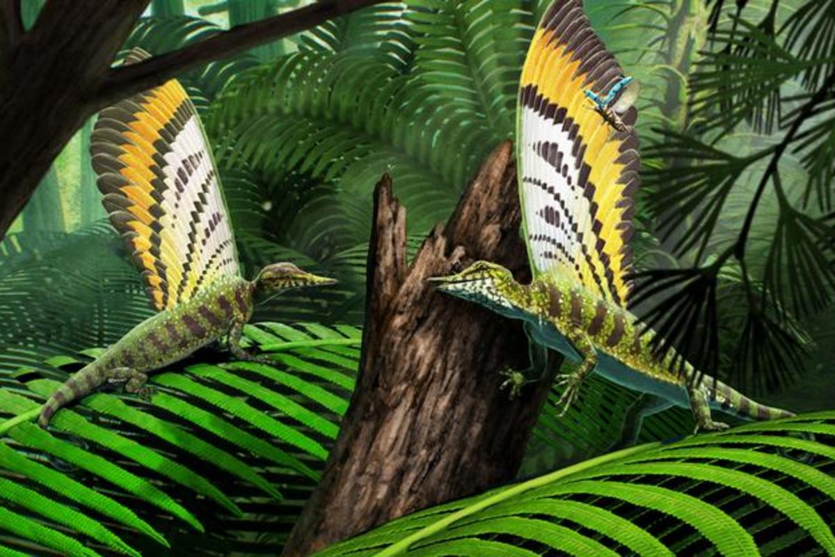 This Reptile Sported Strange, Feather-Shaped Structures Around 247 ...