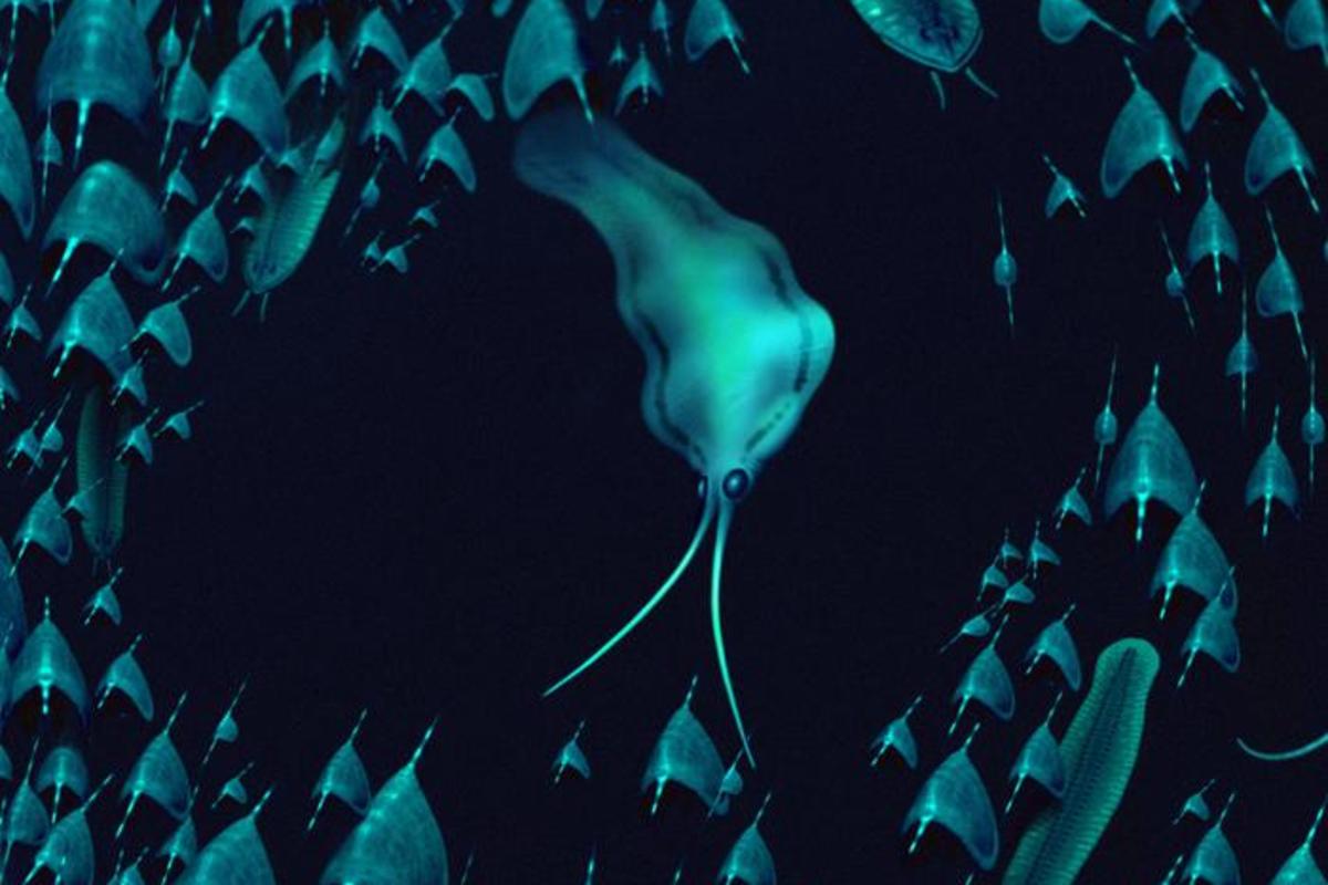A 518-Million-Year-Old Ancient Squid-Like Creature Had “Complex Camera ...