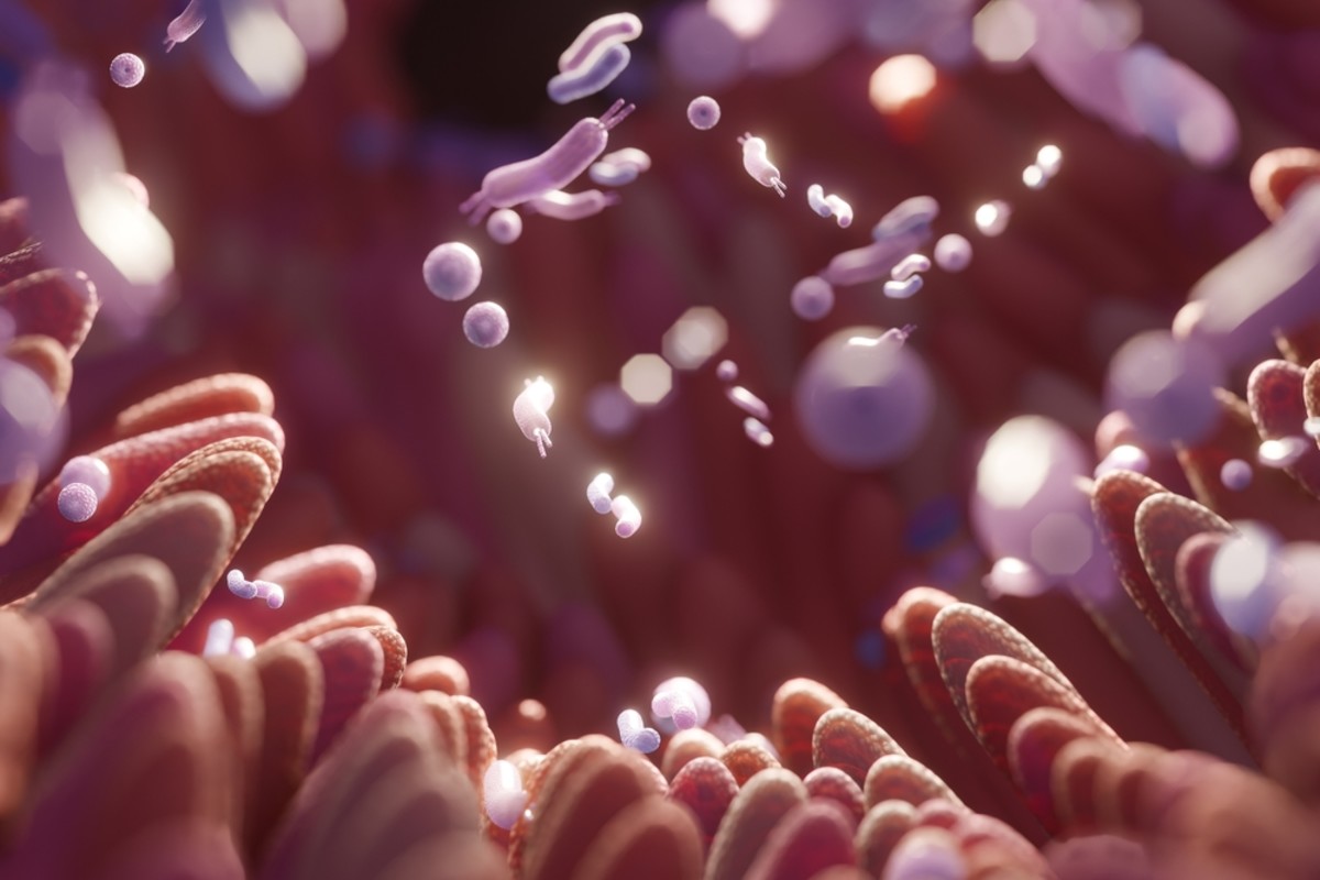 The Gut Microbiome: 100 Trillion Microorganisms in Our Digestive Tract ...