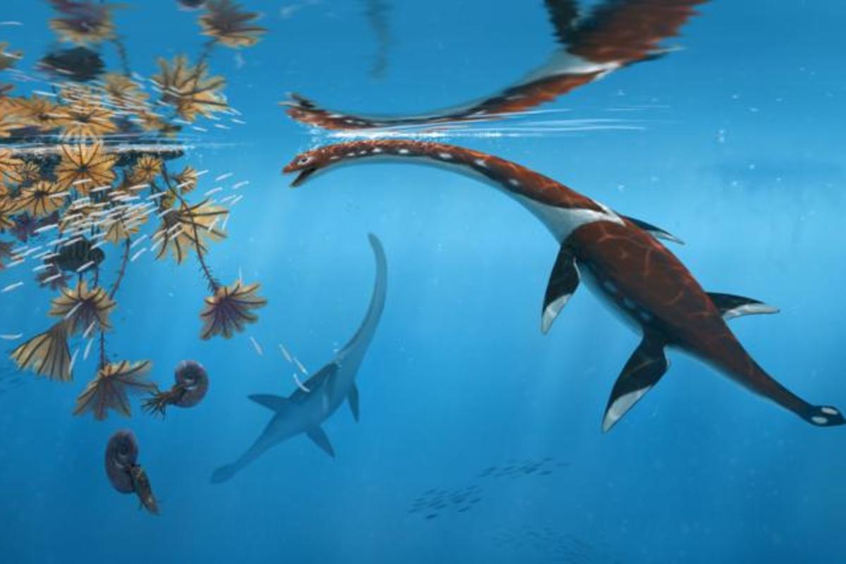 New 183 Million-Year-Old Marine Reptile Identified in Germany Is Oldest ...